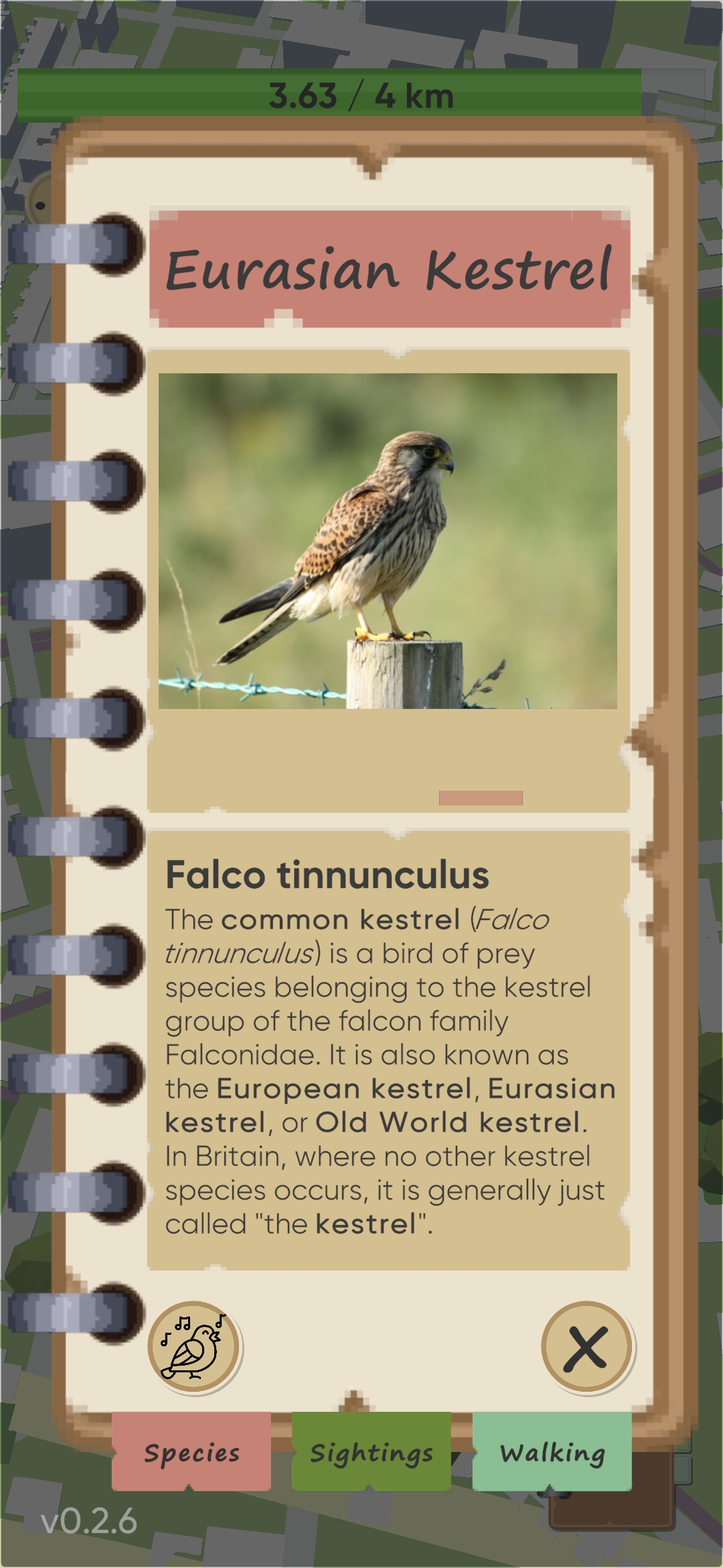 Feathered Trails Beta