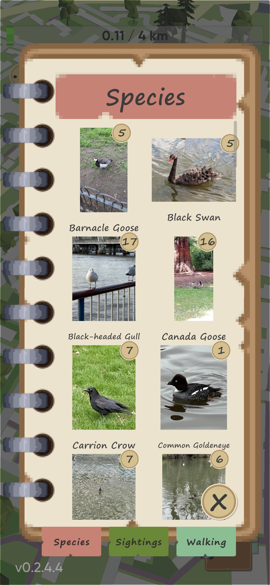 Feathered Trails Beta